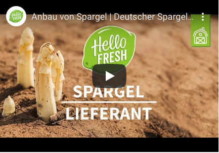 Medienbereich HelloFresh | HelloFresh