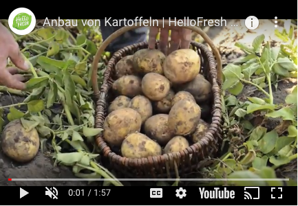 Medienbereich HelloFresh | HelloFresh