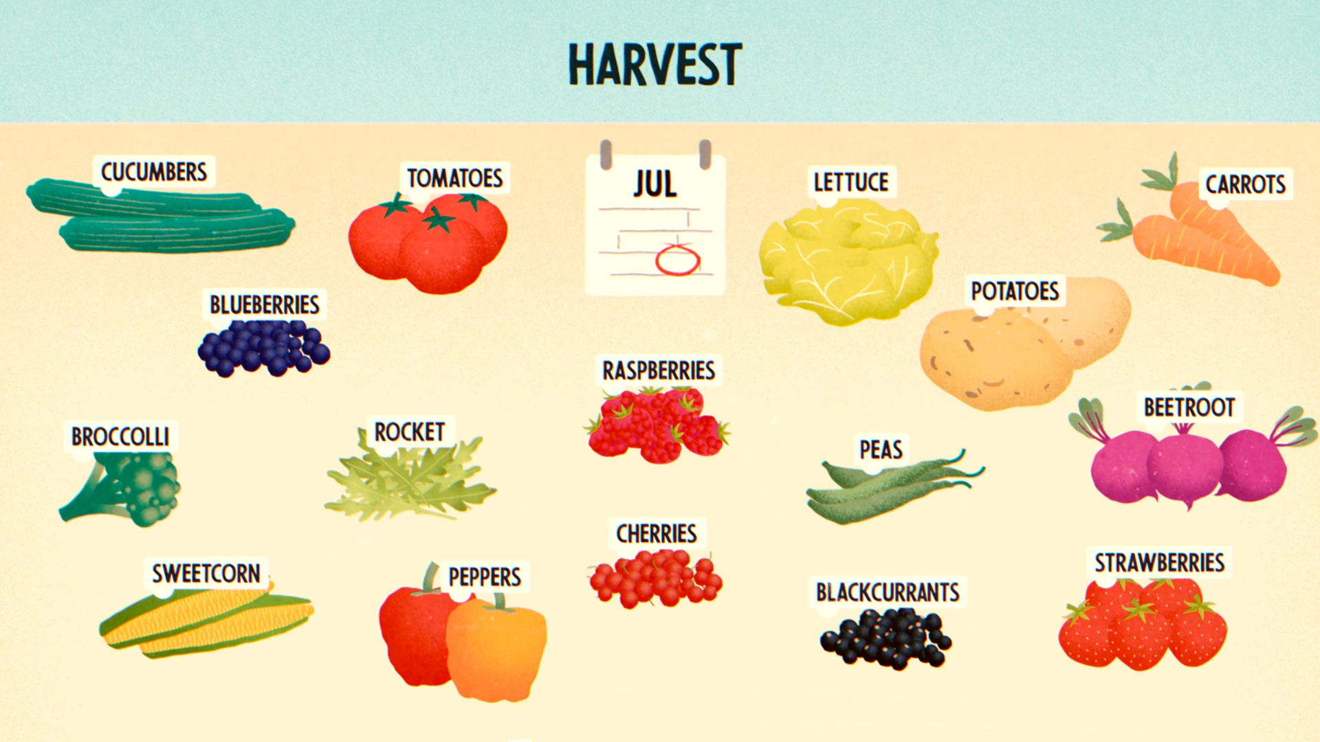Types Of Vegetables To Grow 20 Best Vegetables To Plant And Grow At
