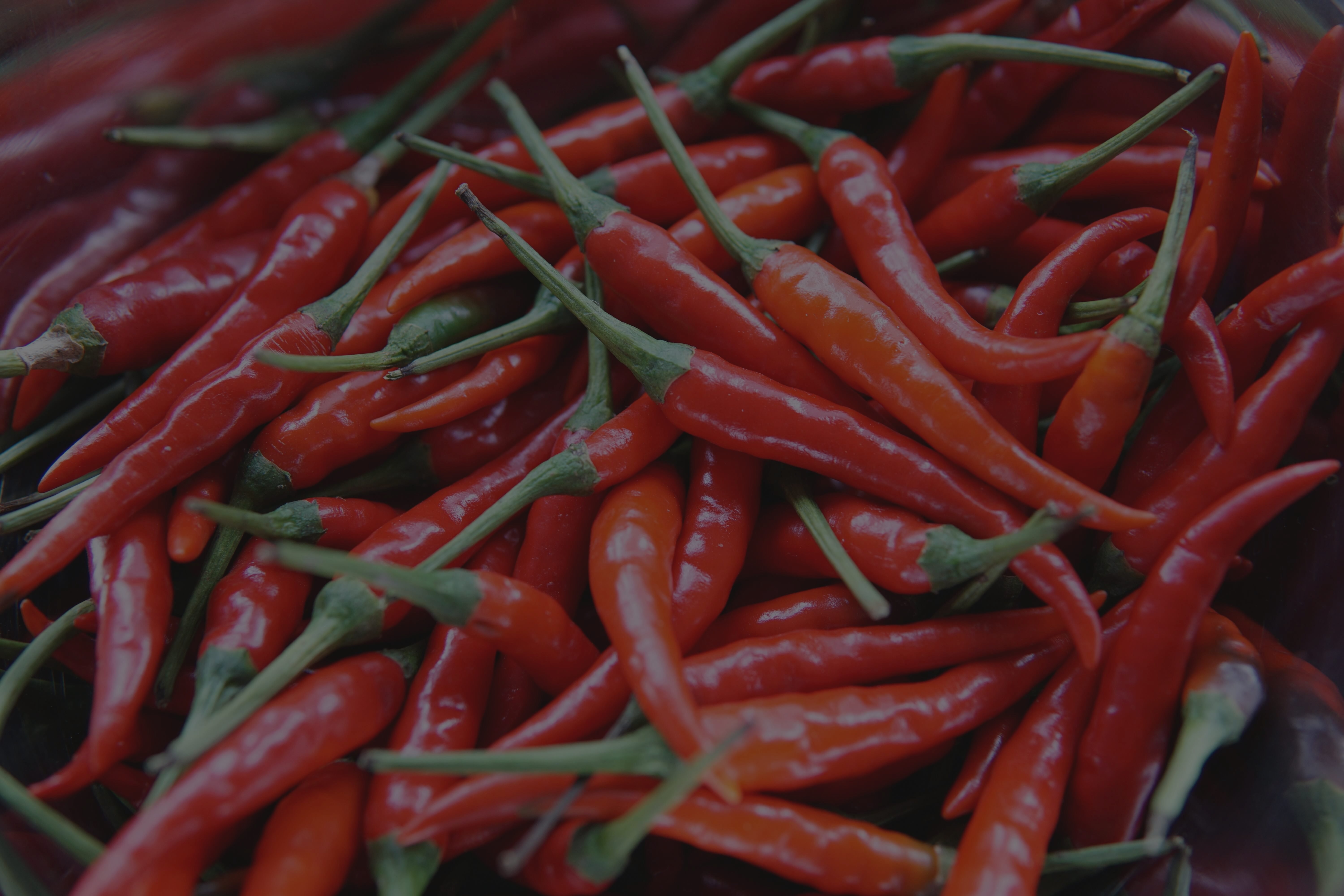 How to freeze chillies: Tips for perfect results