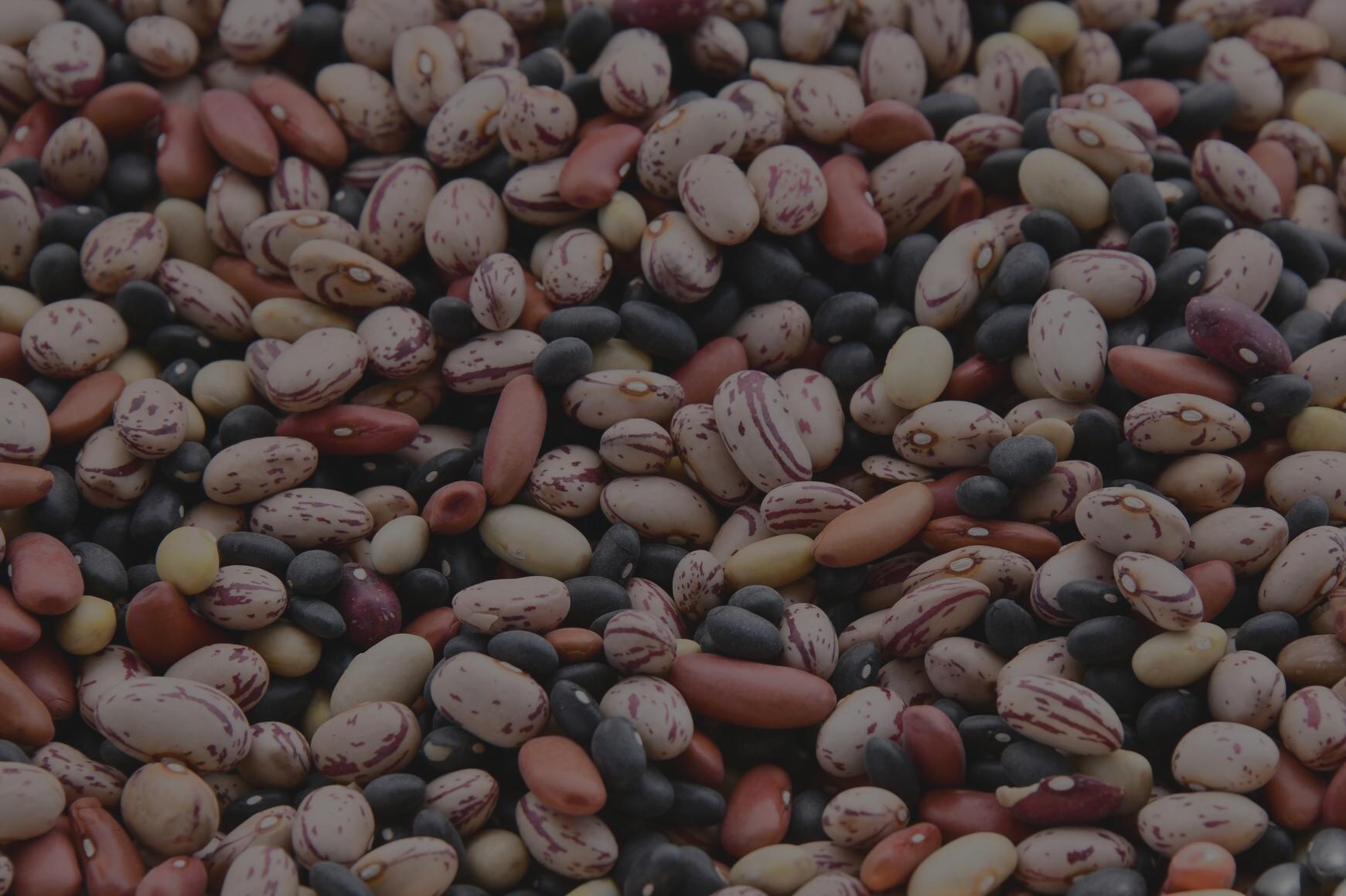 Types of beans: A simple guide to flavour, texture and cooking uses